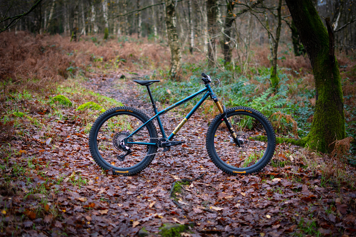 Switchback GenV – Stanton Bikes