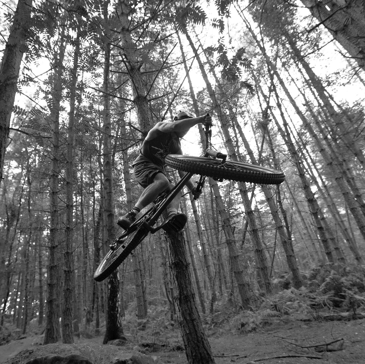 Stanton Bikes - Steel & Titanium hand-crafted mountain bikes